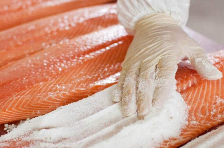 Conservation des aliments : Guide complet - Nous Anti-Gaspi